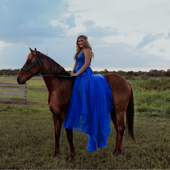 Dresses | Jenny Rogan Prom Dress Perfect Condition | Poshmark